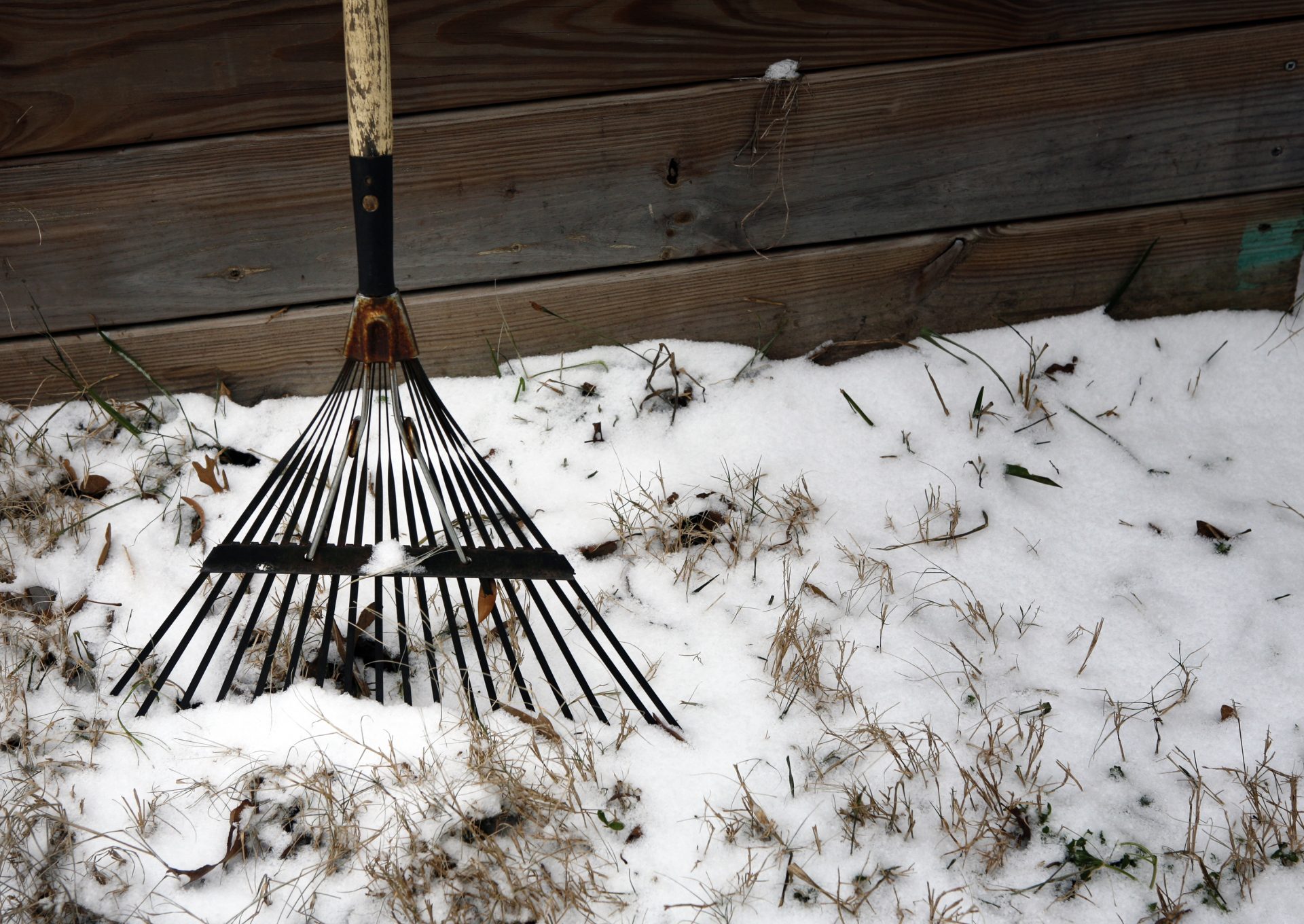 4 Tips To Maintain Your Lawn During Cold Weather - Kueker's Nursery ...